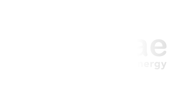 Energía Renovable y Autoconsumo: Ahorra con Renovae Energy